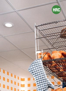 Usg Sheetrock Lay In Ceiling Panel Climaplus Msds | Shelly Lighting