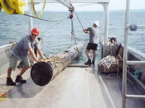 Aqua Timber Submerged Old-Growth Timber, on Designer Pages