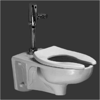 AFWALL™ FloWise ELONGATED 1.28 GPF FLUSHOMETER TOILET 3351.128, on ...
