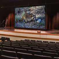 Lace & Grommet Fixed Projection Screen, on Designer Pages