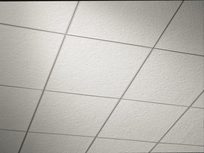 Donn® Brand Fineline® 1/8 DXFF™ 9/16" Acoustical Suspension System, on ...