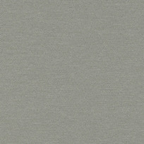 Tek-Wall Tint, on Designer Pages