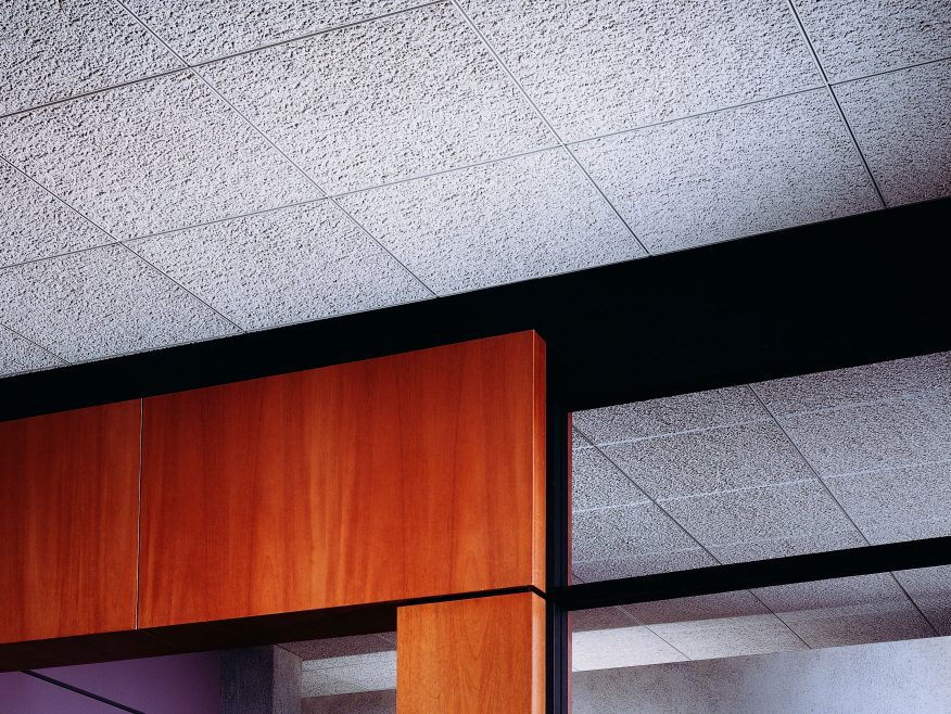 Usg Acoustical Ceiling Panels And Tiles Msds | Shelly Lighting