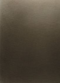 Bronzed Steel, on Designer Pages