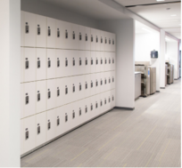 DAY USE LOCKERS, on Designer Pages