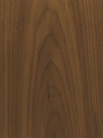 Premium Walnut- Light Walnut (WL-95), on Designer Pages