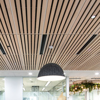ecoustic® Timber Ceiling Blade | Acoustic Drop-in Ceiling Tile, on ...