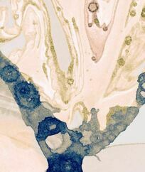 Crest, on Designer Pages