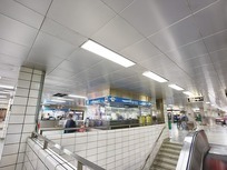 Rockfon® Planostile™ Snap-in Metal Panel Ceiling System, on Designer Pages