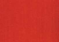 Xorel Meteor, on Designer Pages