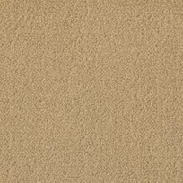 Color Study 30 BC574, on Designer Pages