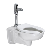 Afwall FloWise™ Elongated Toilet, on Designer Pages